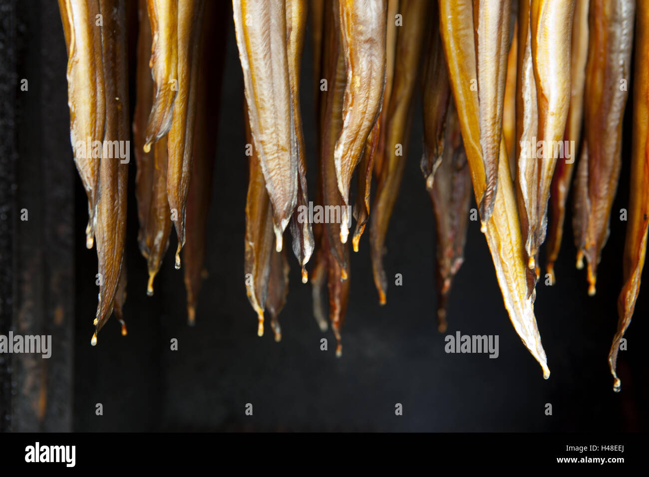 Smoked eel, eel, fish, serpentine, hanging, curing Stock Photo - Alamy