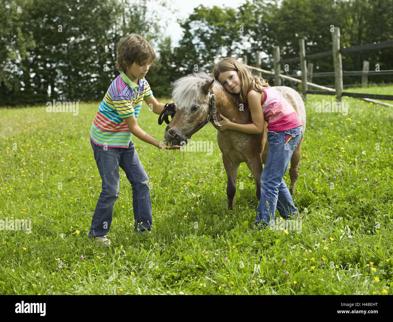 Children, two, pony, meadow, feed Stock Photo - Alamy