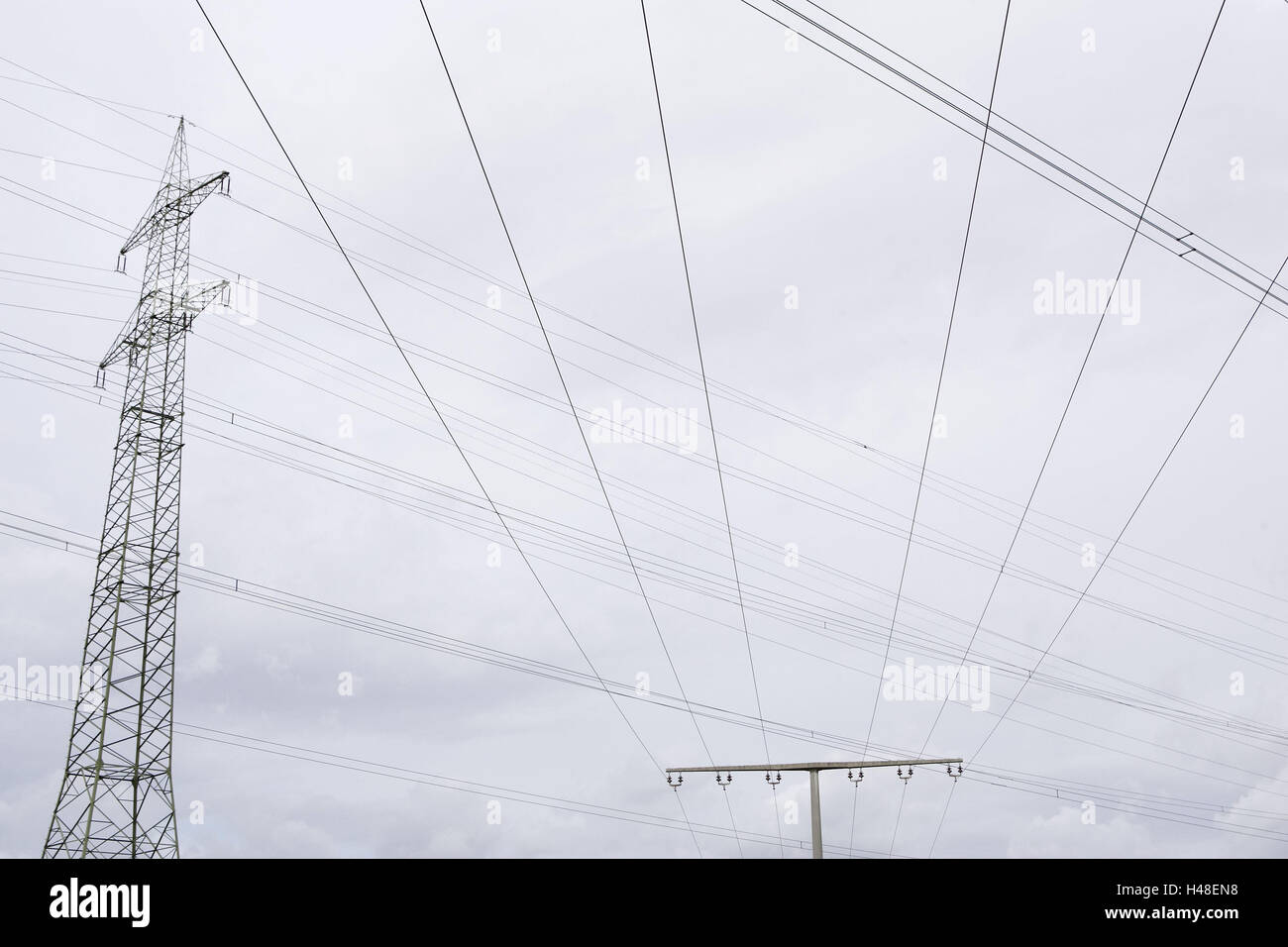 High-voltage poles, power supply lines, from below, power poles ...