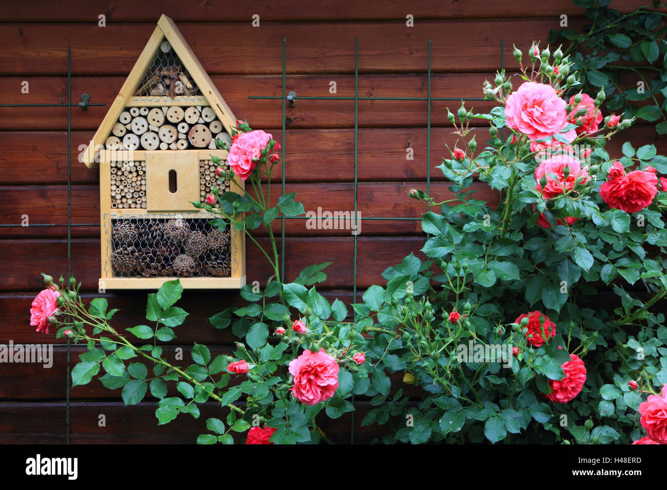 Brood animal hi-res stock photography and images - Alamy