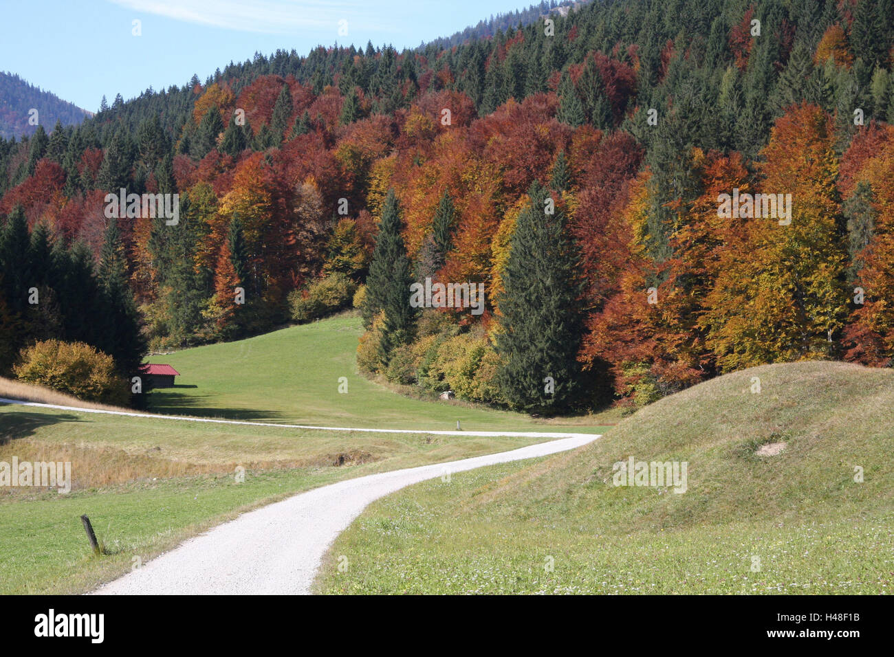 Germany, Upper Bavaria, autumn scenery, wood, meadows, street, South ...