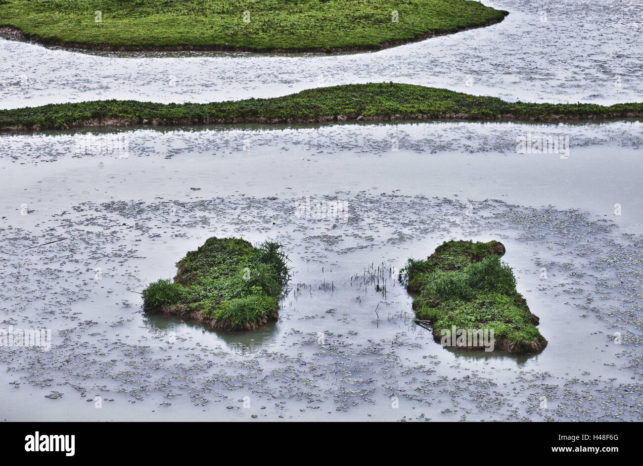 Isola della cona hi-res stock photography and images - Alamy