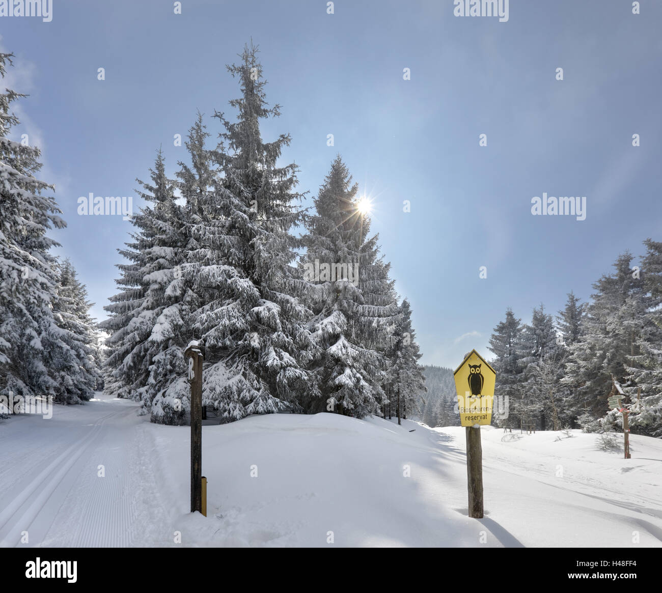 Germany, Oberhof, Rennsteig, Thuringia, forest, signs, snow, sun Stock ...