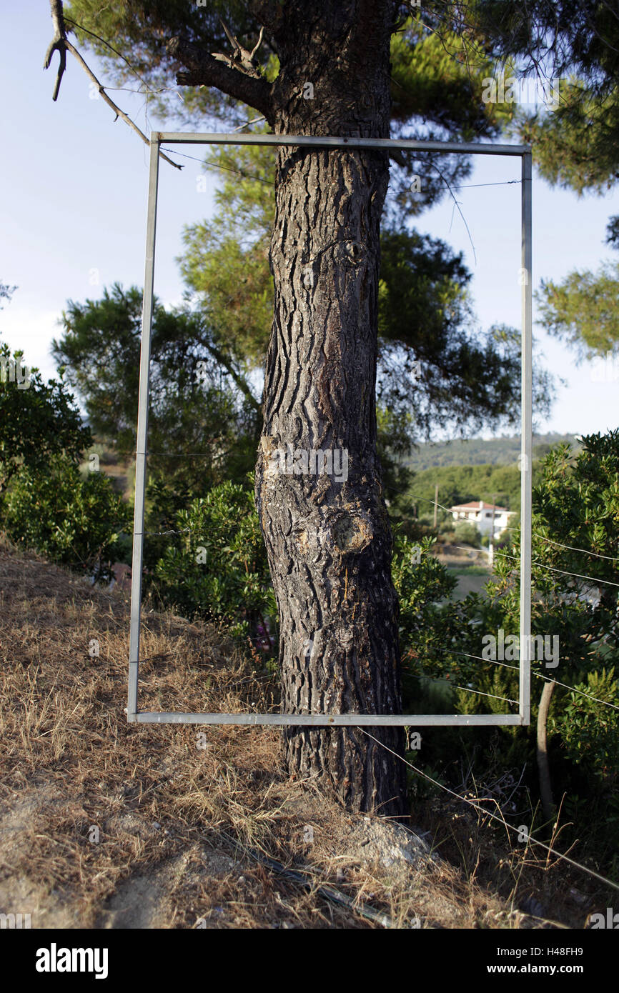 Pine Tree Border High Resolution Stock Photography and Images - Alamy