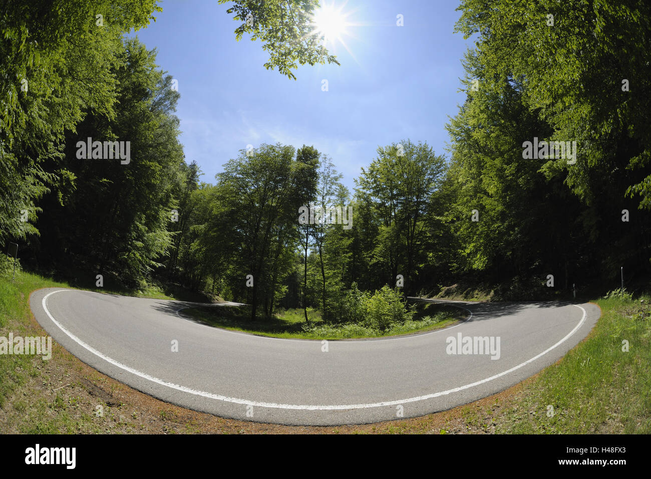 Street, Turning, sun, back light, person's from the Rhineland wood ...