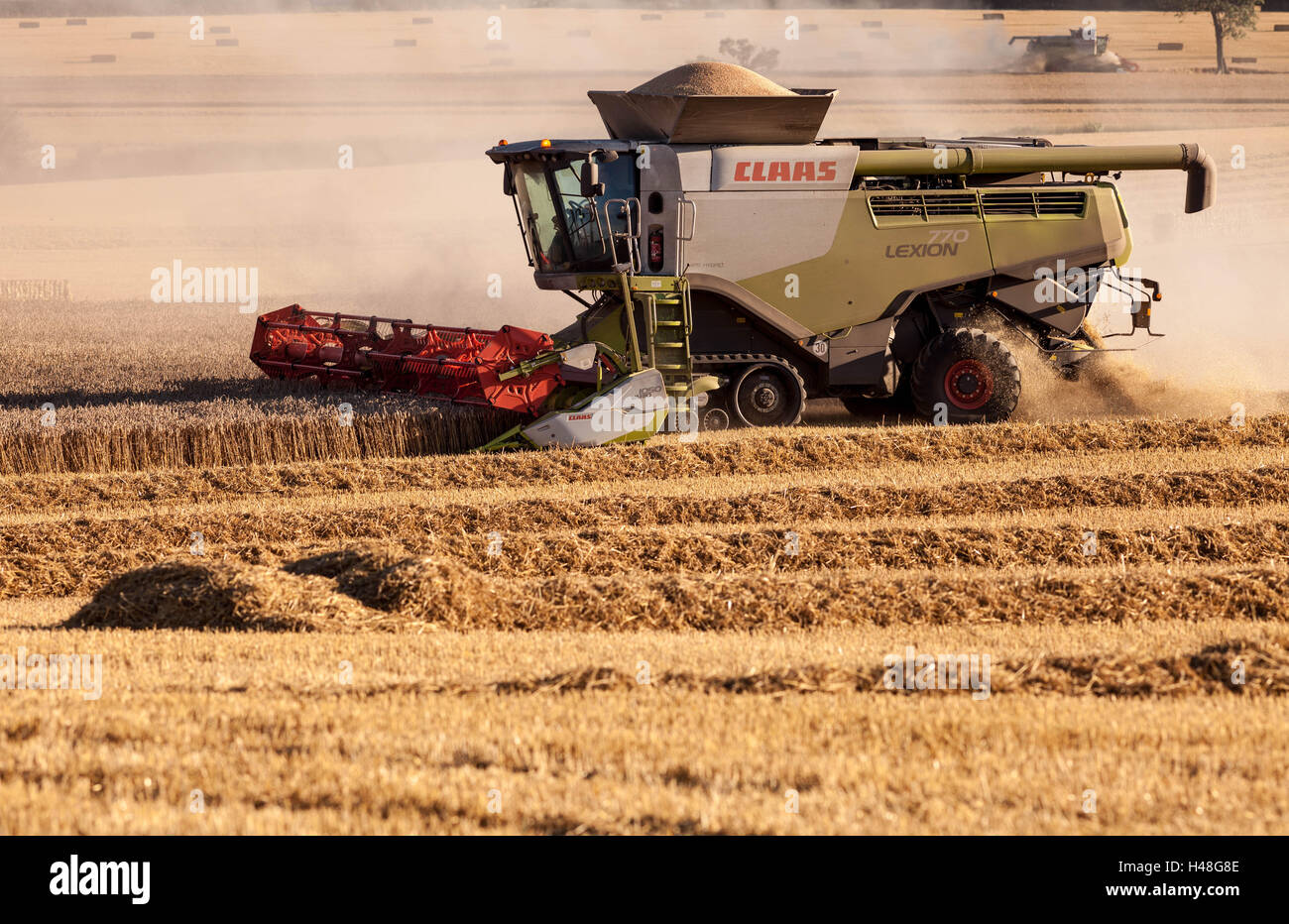 Claas Lexion Combine Harvester, Hertfordshire, England Stock Photo - Alamy