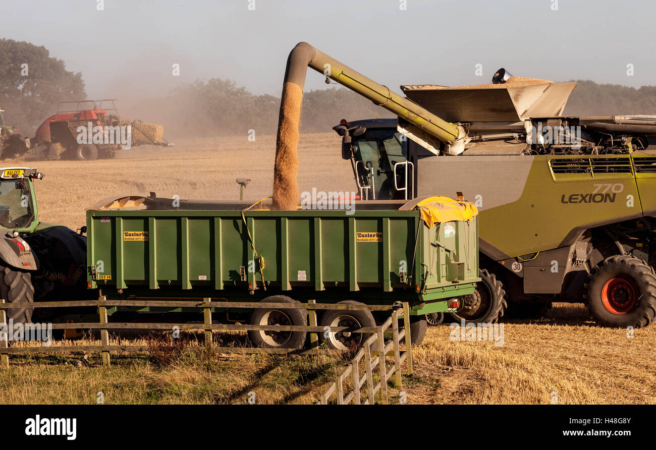 Claas lexion combine harvester hi-res stock photography and images - Alamy