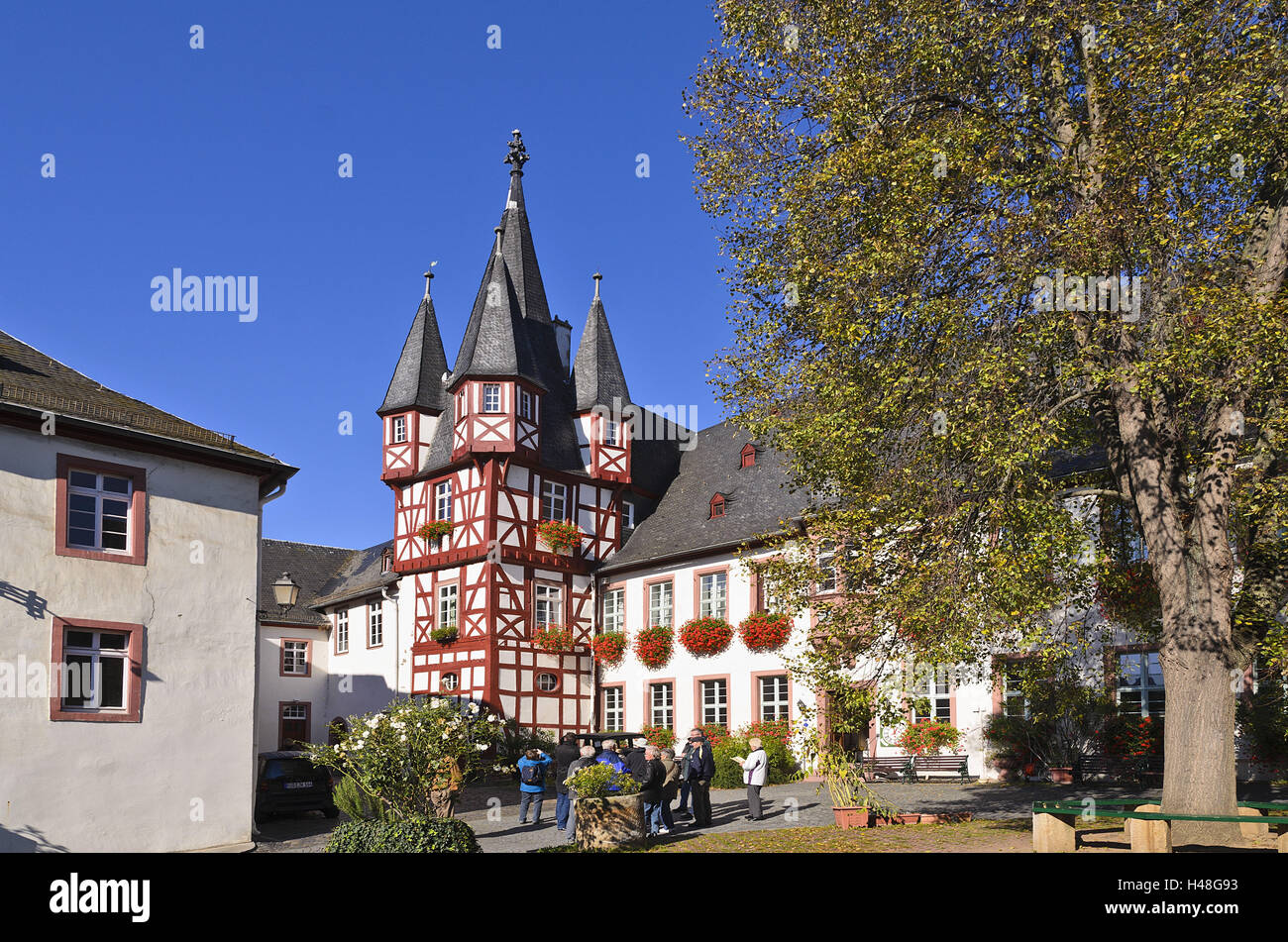 Germany, Hesse, Rheingau (region), Rüdesheim am Rhein (town), Siegfried ...