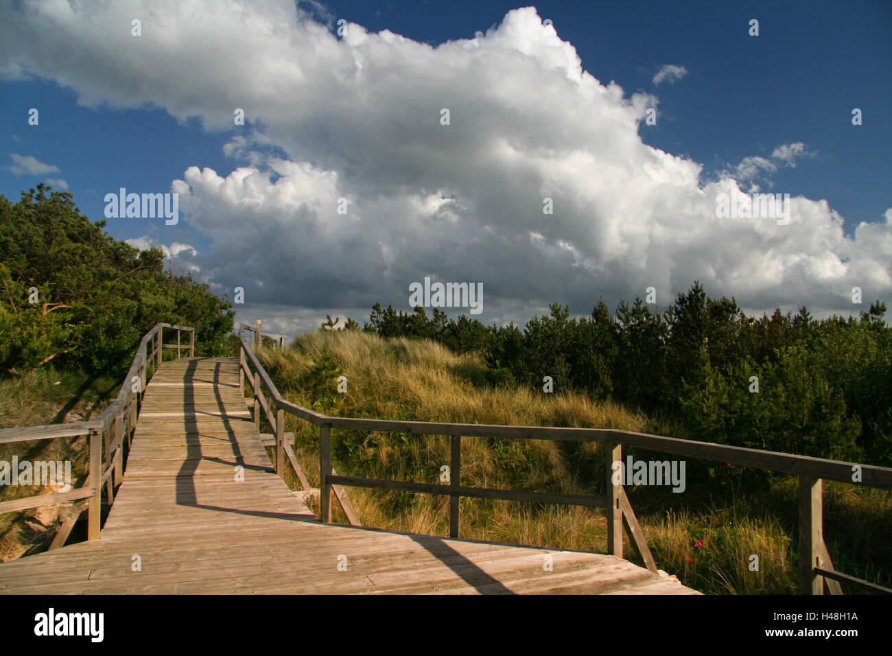 The Baltic Sea, Rügen, Mövenort, lookout Stock Photo - Alamy
