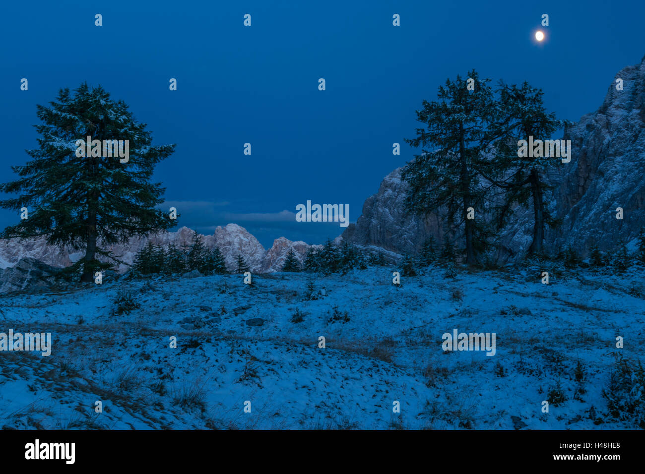 Under moonlight hi-res stock photography and images - Alamy