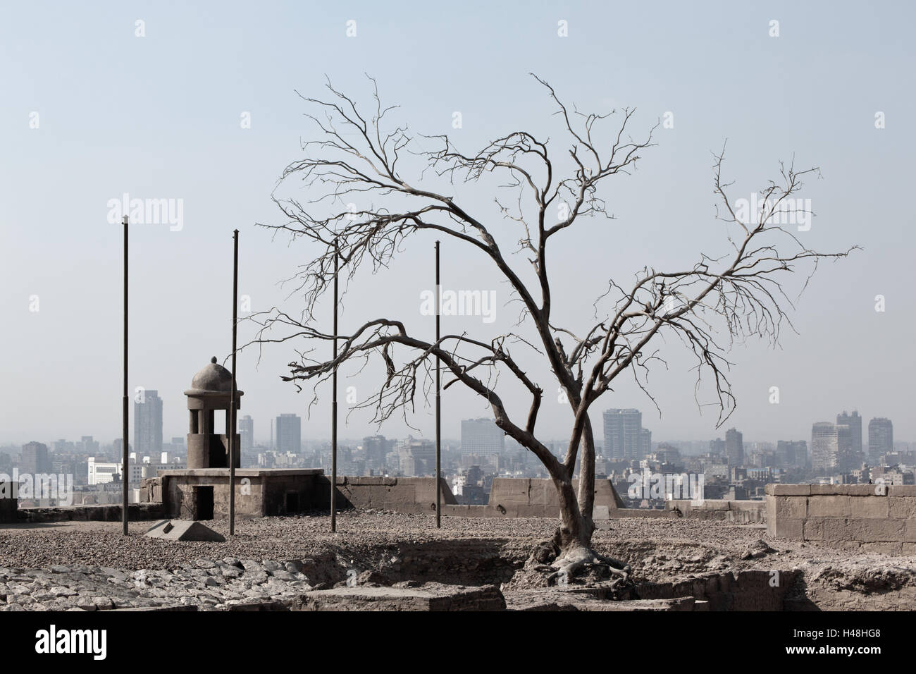 Egypt, Cairo, stronghold, terrace Stock Photo - Alamy