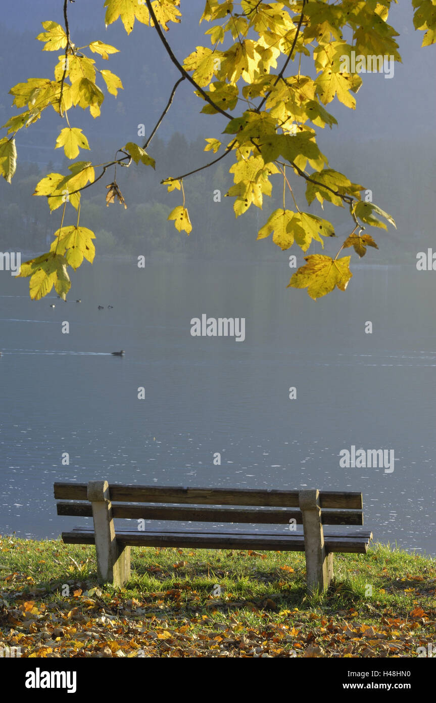 Lakeside bank hi-res stock photography and images - Alamy