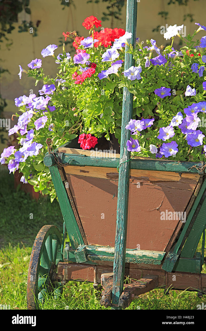 Flower cart, petunias, cart, wooden cart, flowers, blossom, blossom ...