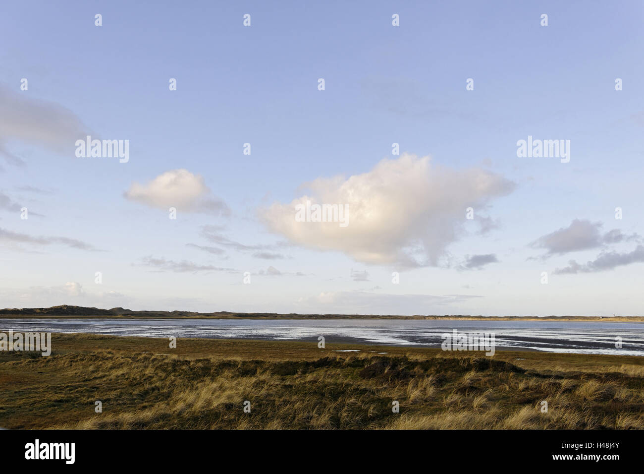 Watt scenery, list, island Sylt, Schleswig Holstein, Germany Stock ...