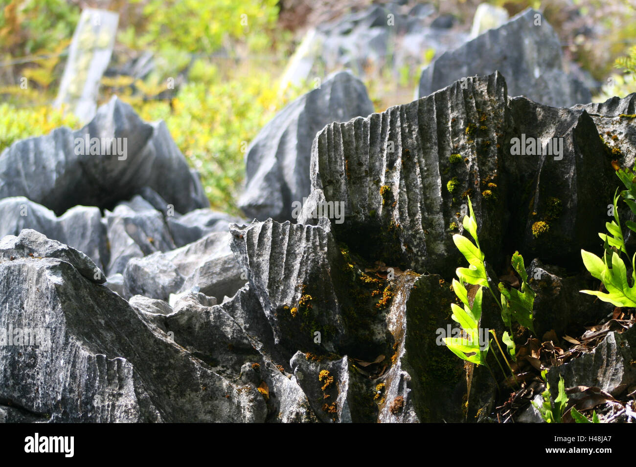 New Zealand, south island, Takaka Hill Road, granite Stock Photo - Alamy