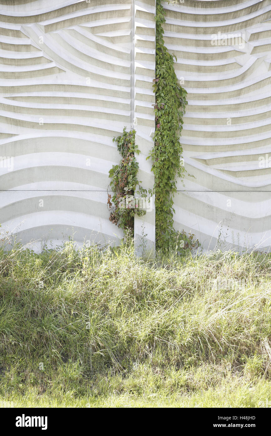 Concrete wall, plants, nature Stock Photo - Alamy