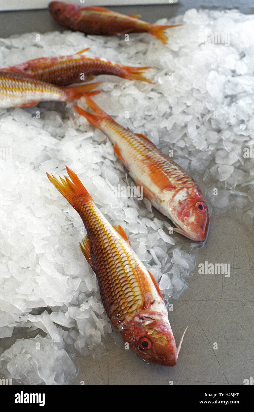 Market, fresh food, fish, Rouget Stock Photo - Alamy