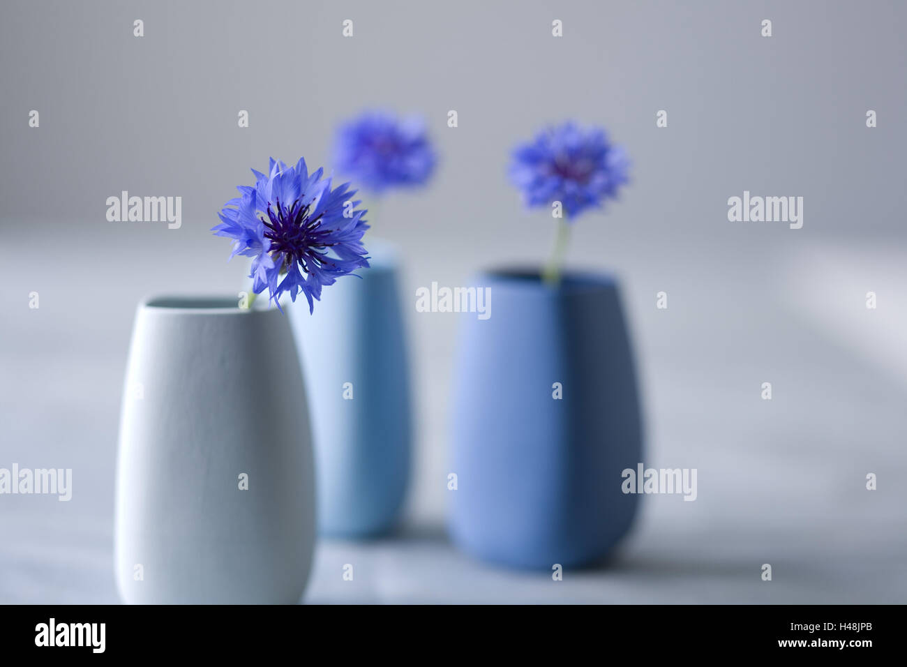 Three vases of flowers hi-res stock photography and images - Alamy