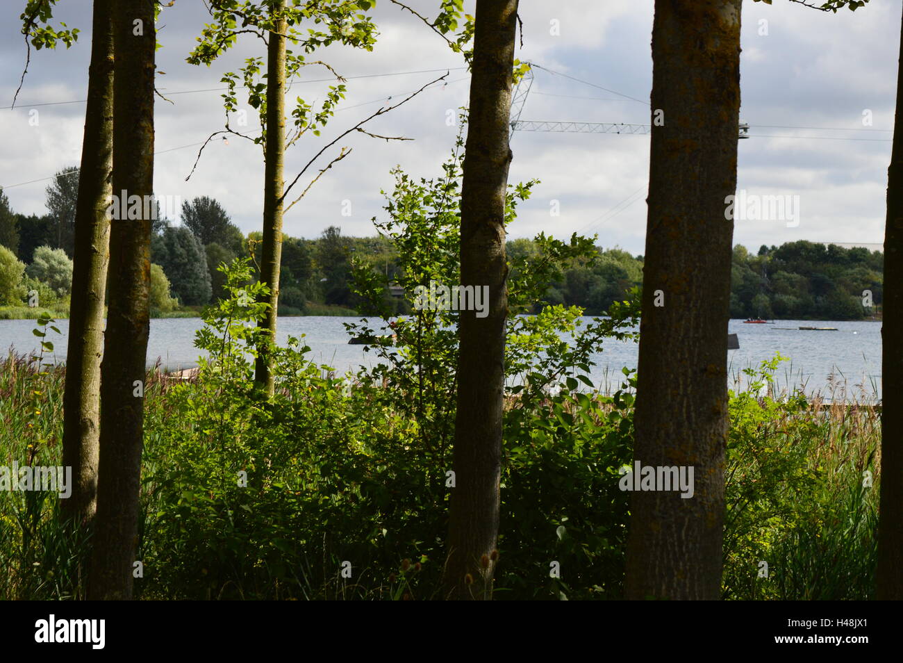 Multiple trees hi-res stock photography and images - Alamy