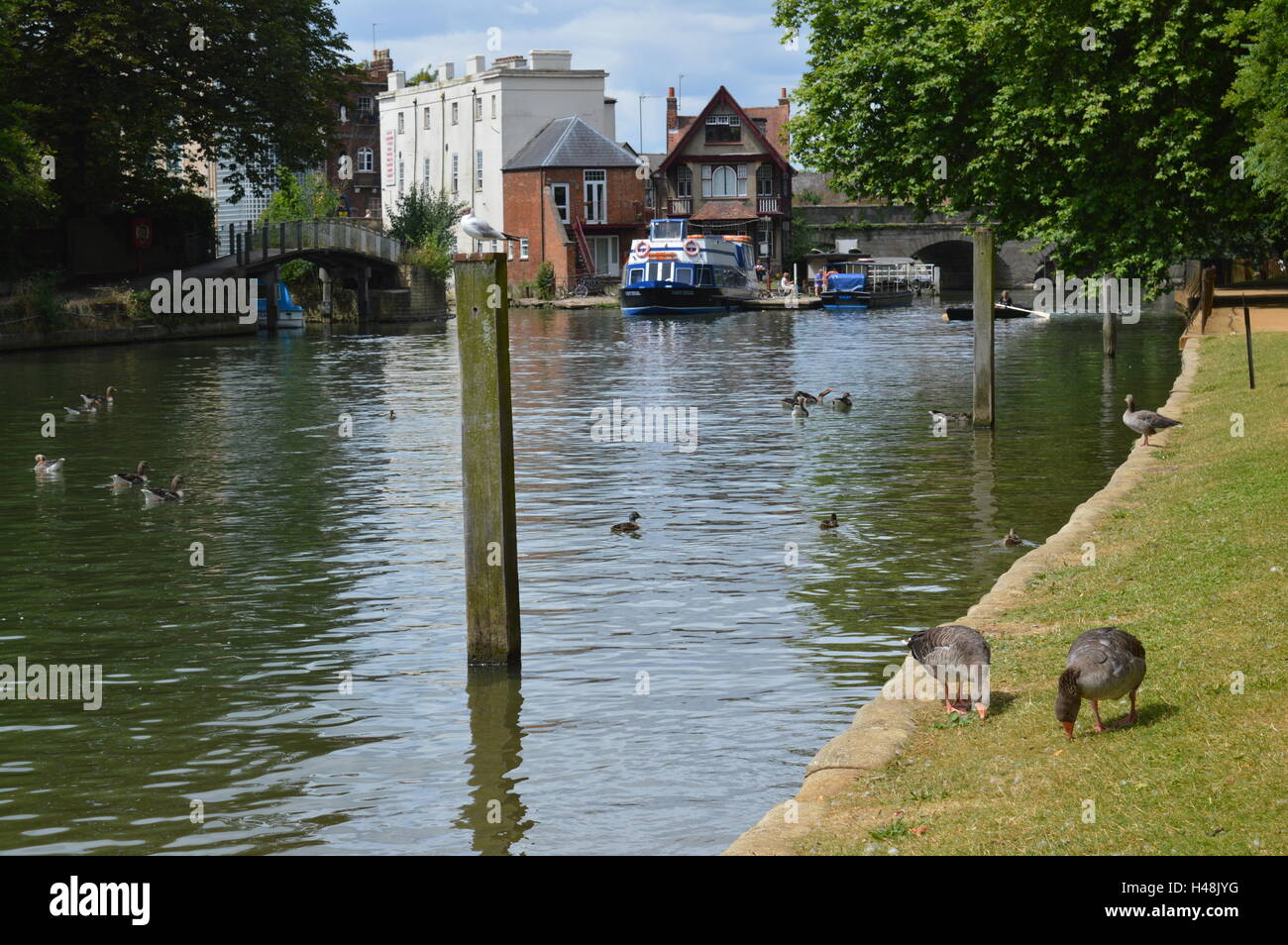 Along the river Stock Photo - Alamy