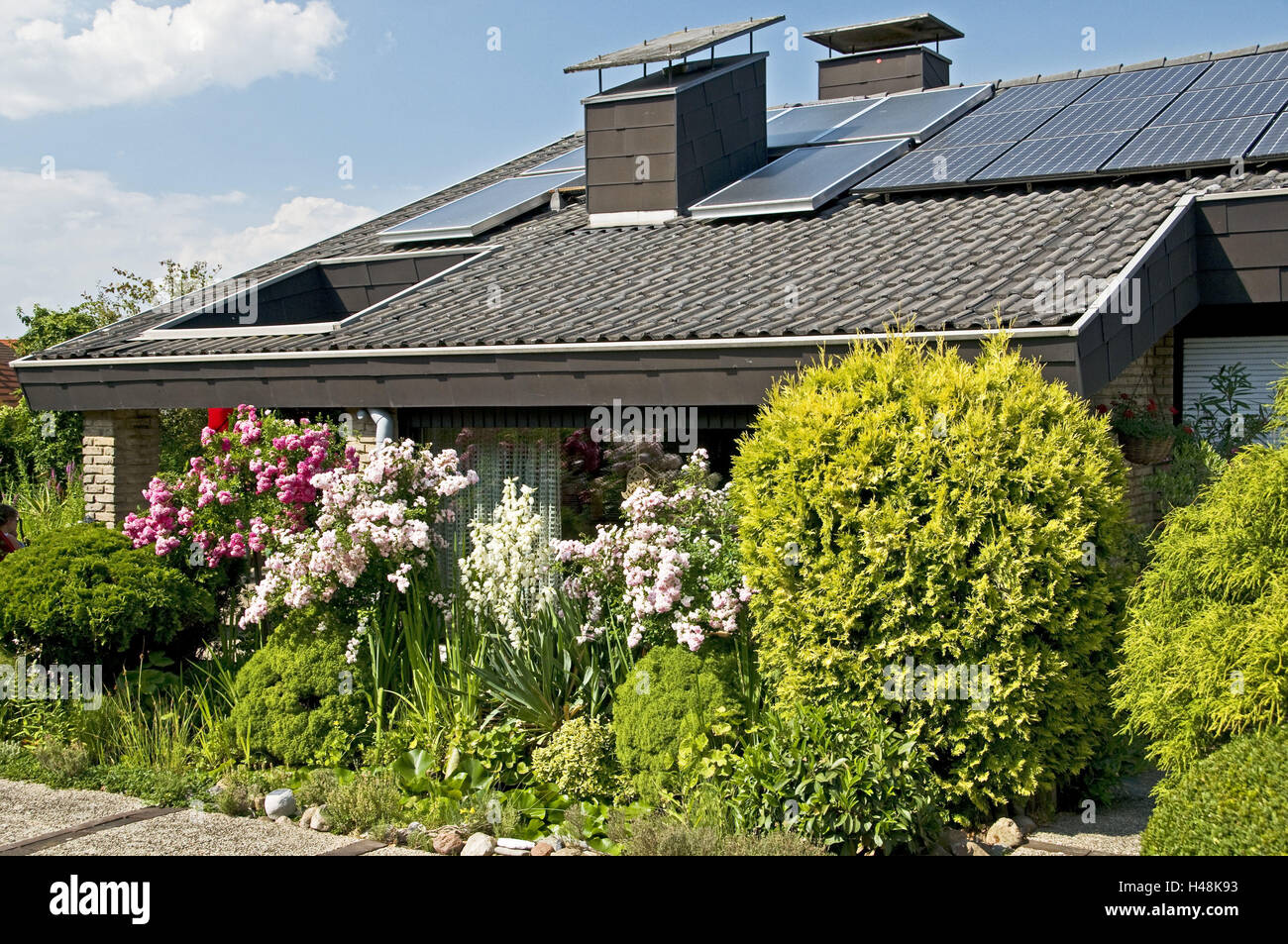 Single-family dwelling, garden, regular roses, solar plant, Solar ...