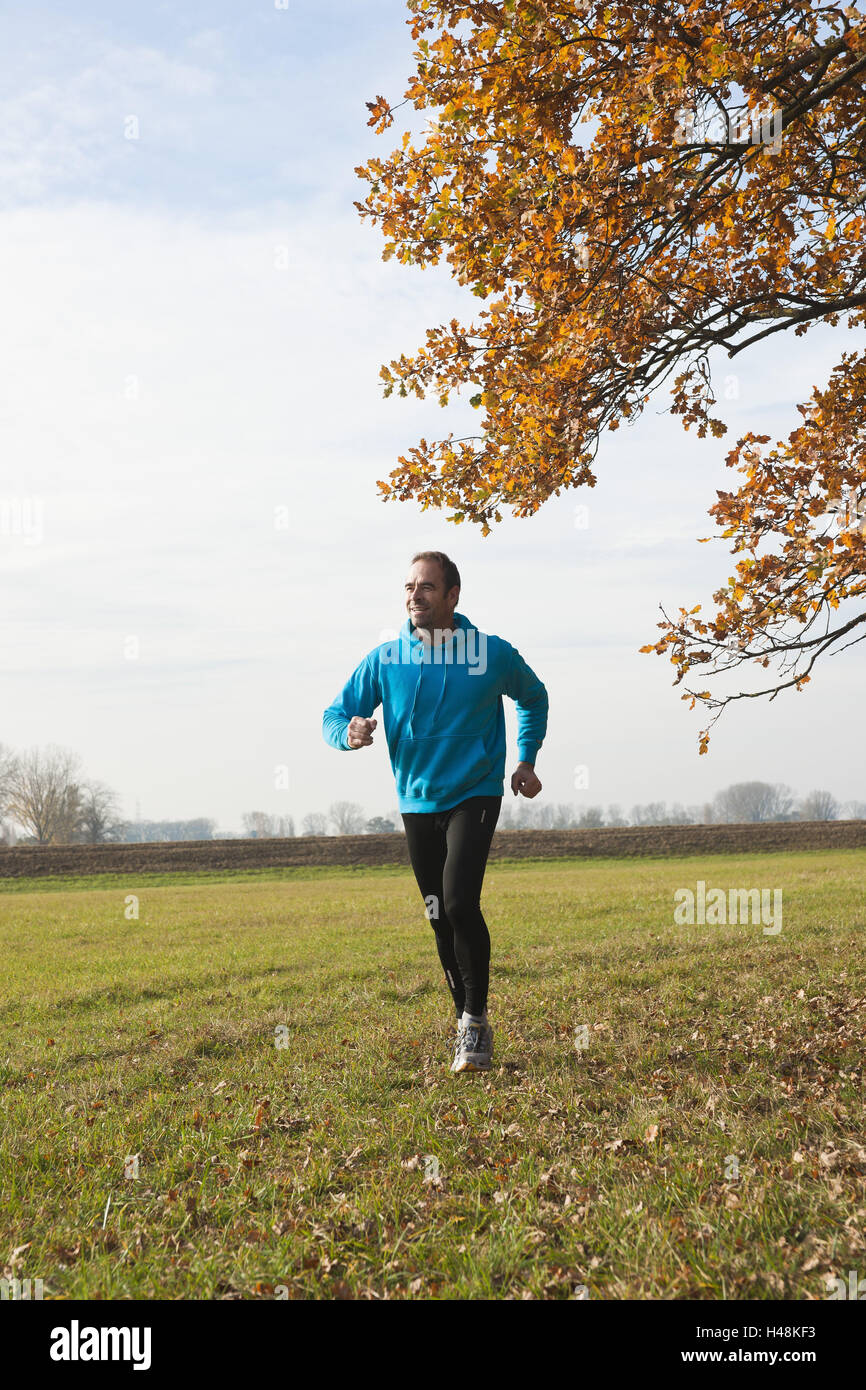 Man, jogging, autumn Stock Photo - Alamy