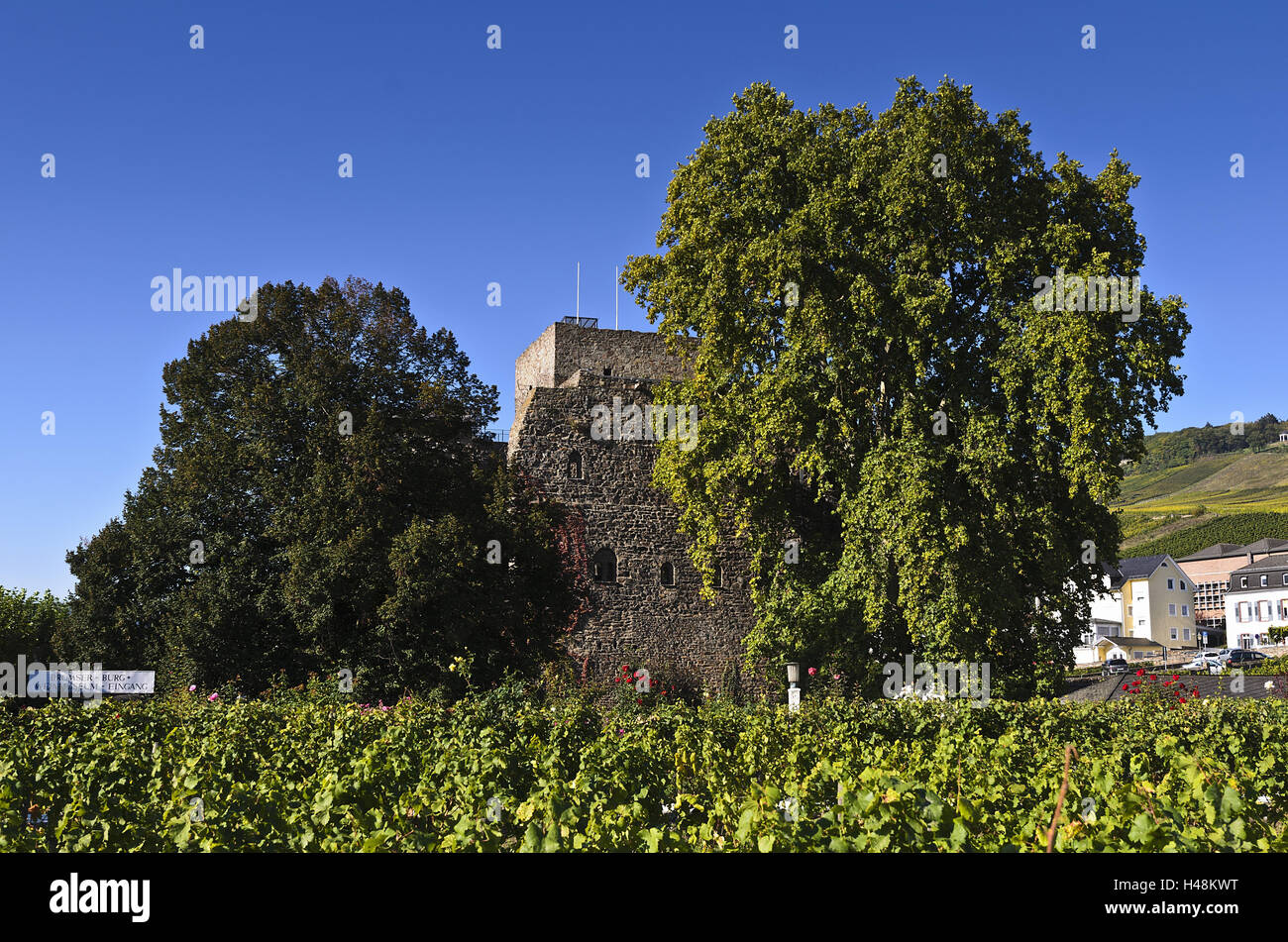 Rheingau region wine museum hi-res stock photography and images - Alamy