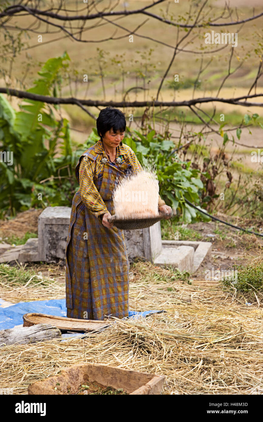 Kingdom of Bhutan, Bhutanese woman cleaning rice Stock Photo - Alamy