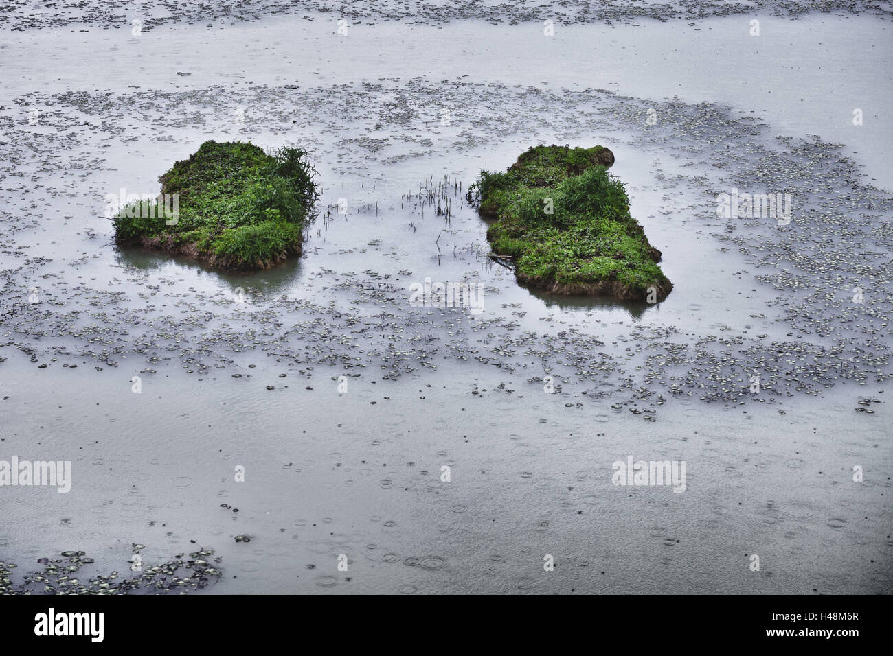 Cona hi-res stock photography and images - Alamy