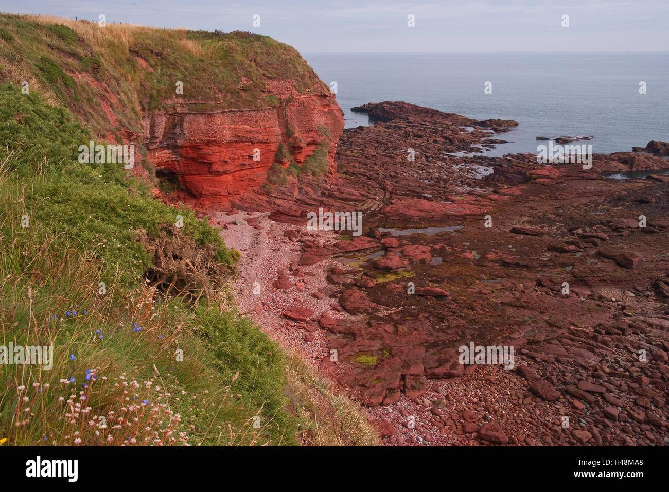 Arbroath cliffs hi-res stock photography and images - Alamy
