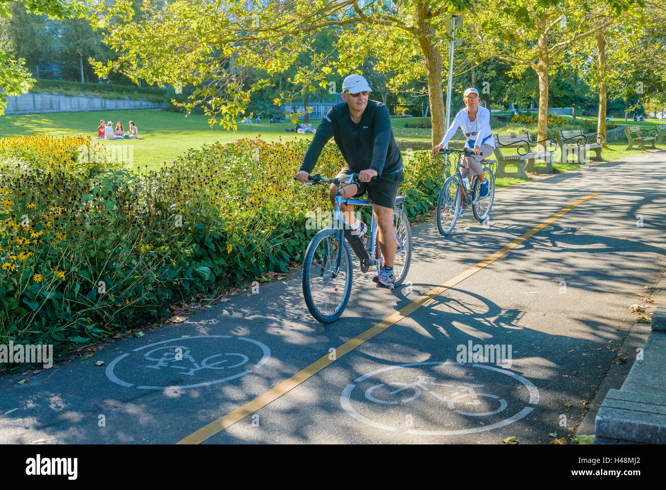 Bicycle bicycles cycling path seawall hi-res stock photography and ...