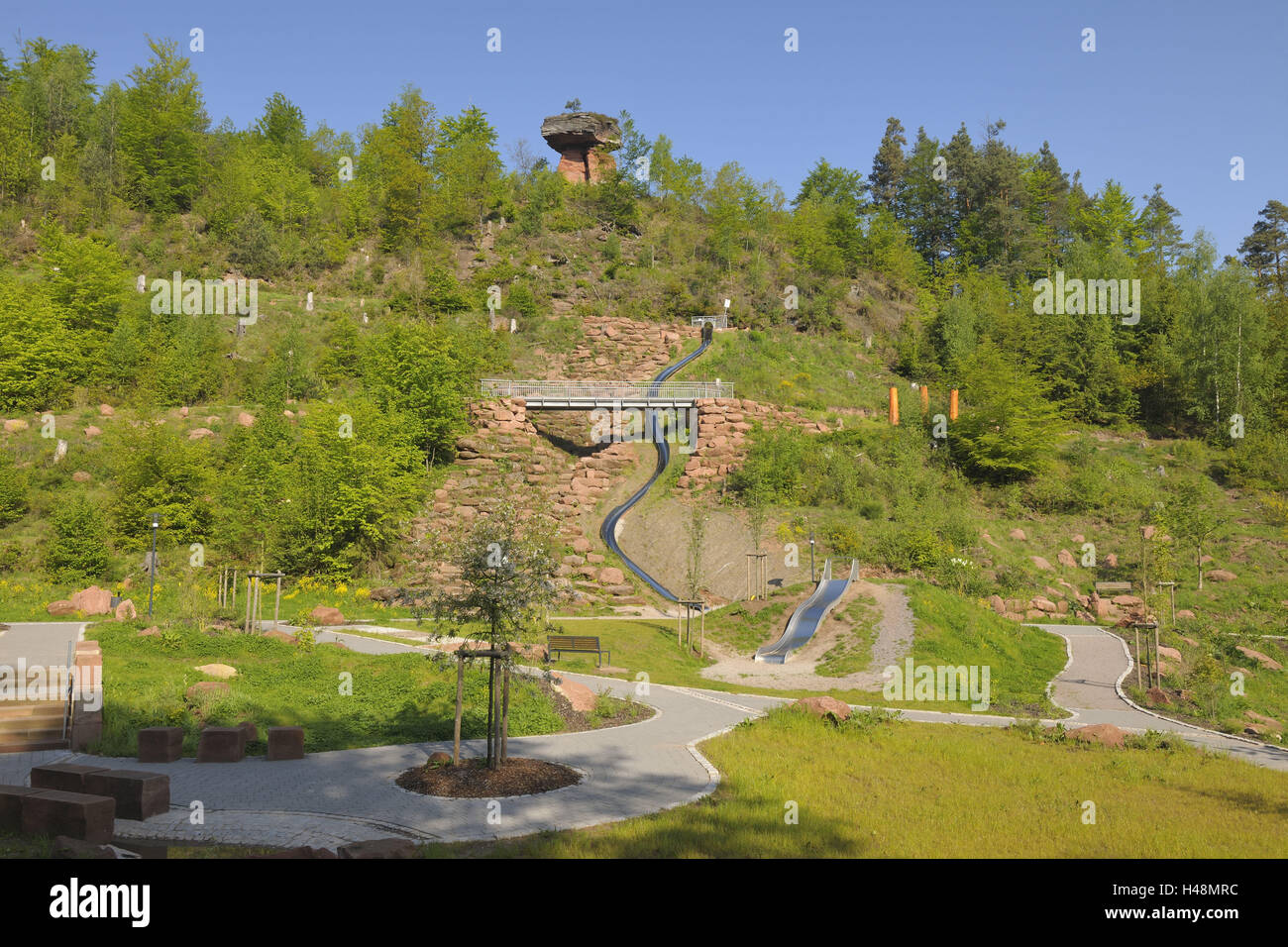 Sledge run in summer, Teufelstisch, Hinterweidenthal, Palatinate Forest ...