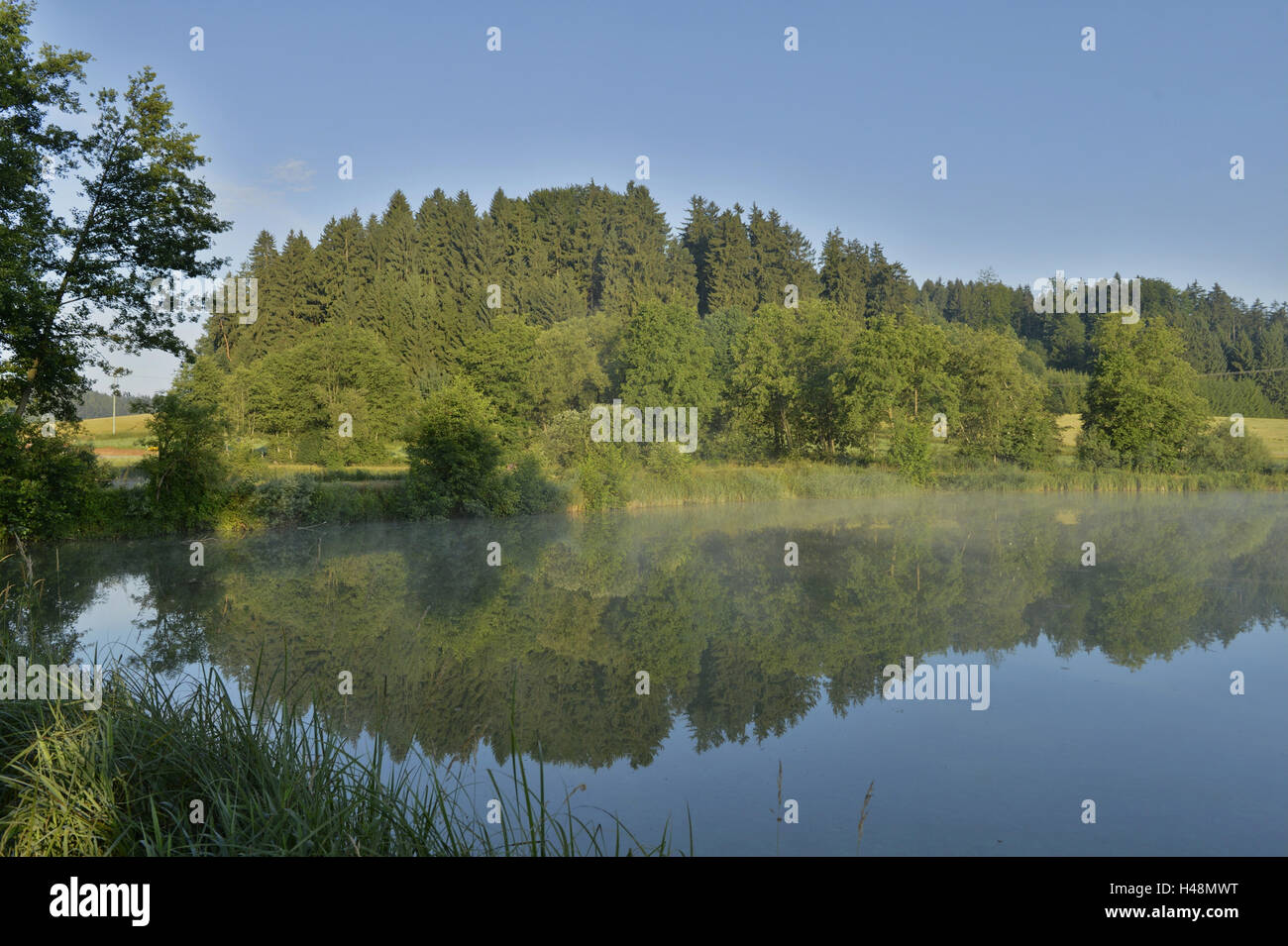 Scenery, mirroring, lake, haze, fog Stock Photo - Alamy