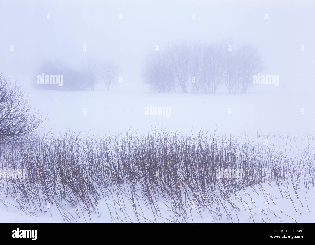 High fens eifel nature park hi-res stock photography and images - Alamy