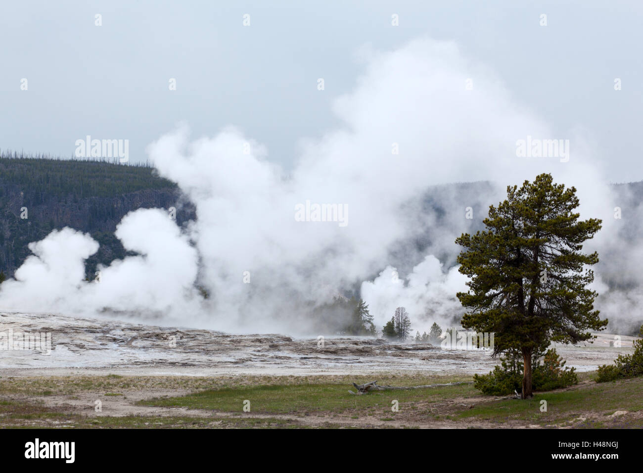 USA, Yellowstone Nationwide park, Geyser Hill Stock Photo - Alamy