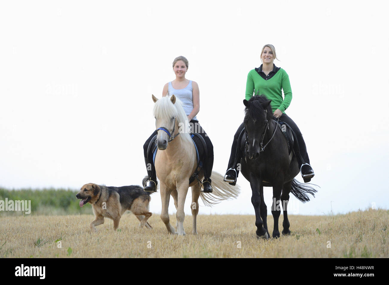 Teenage girls, horses, field, front view, riding, looking at camera ...