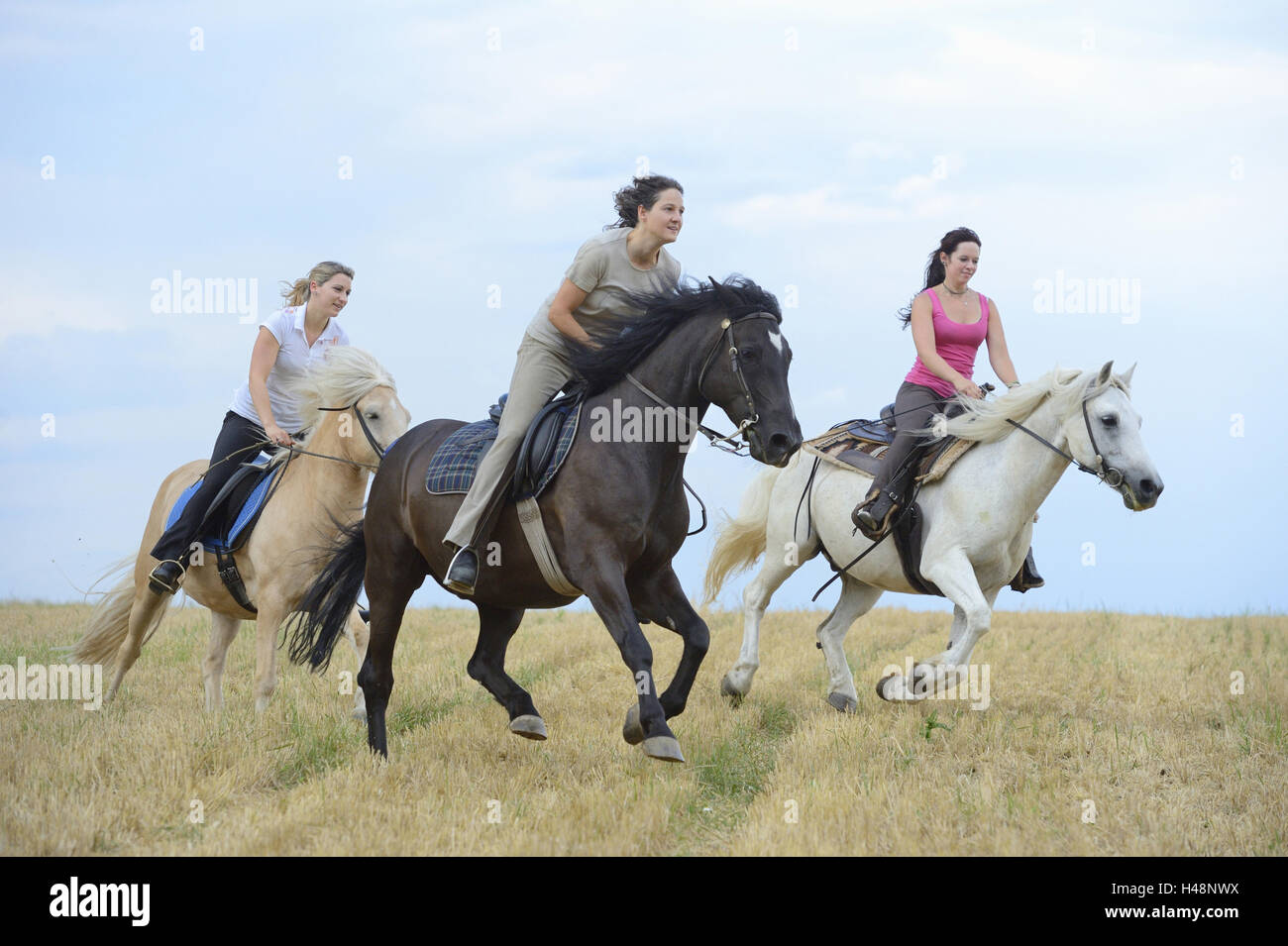 Riders, horses, field, at the side, ride Stock Photo - Alamy