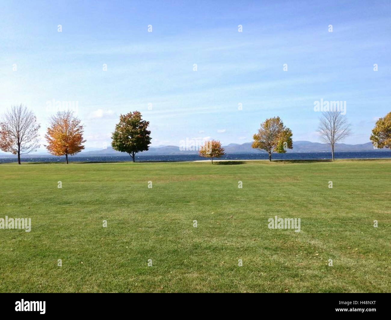 Line of Trees Stock Photo - Alamy