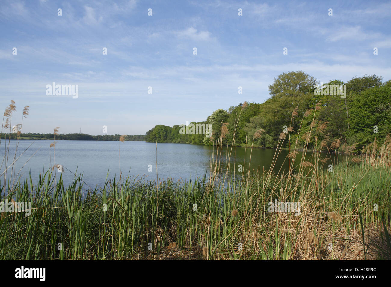 Eutiner nature reserve hi-res stock photography and images - Alamy