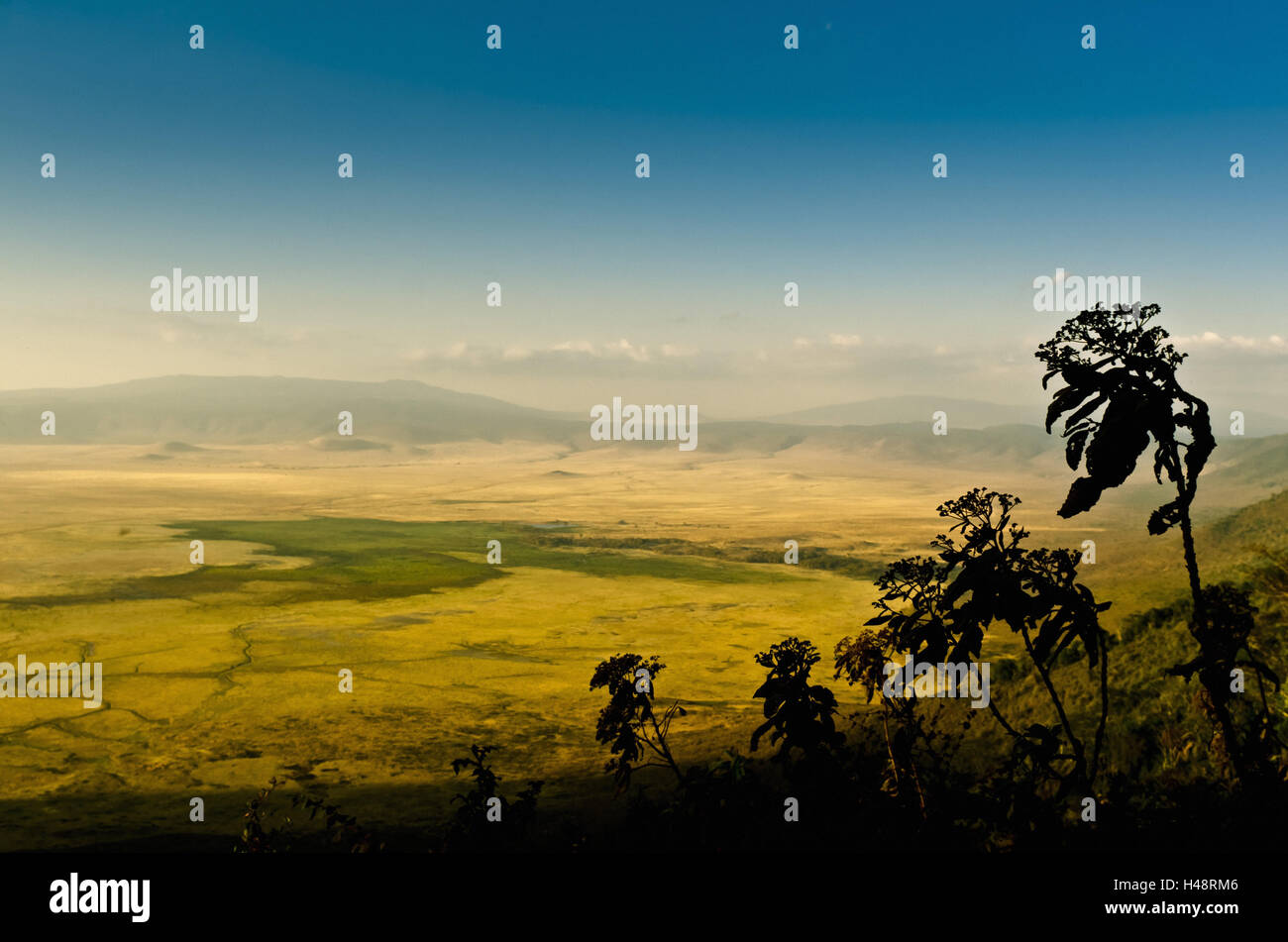 Africa, Tanzania, East Africa, crater, volcano crater, Ngorongoro Stock ...