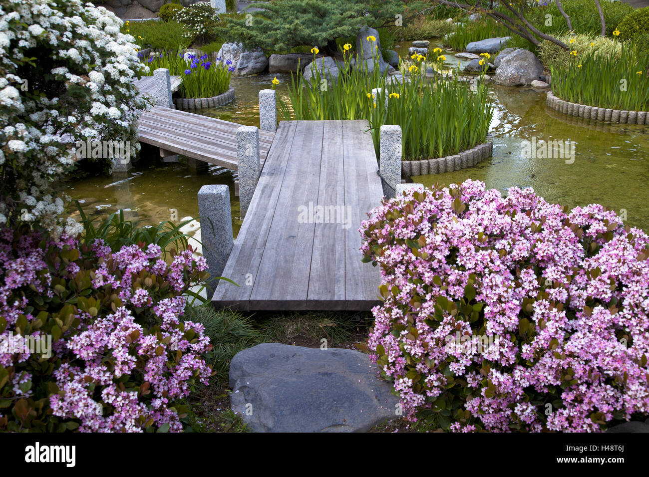 Monaco, Japanese garden in Larvotto Stock Photo - Alamy