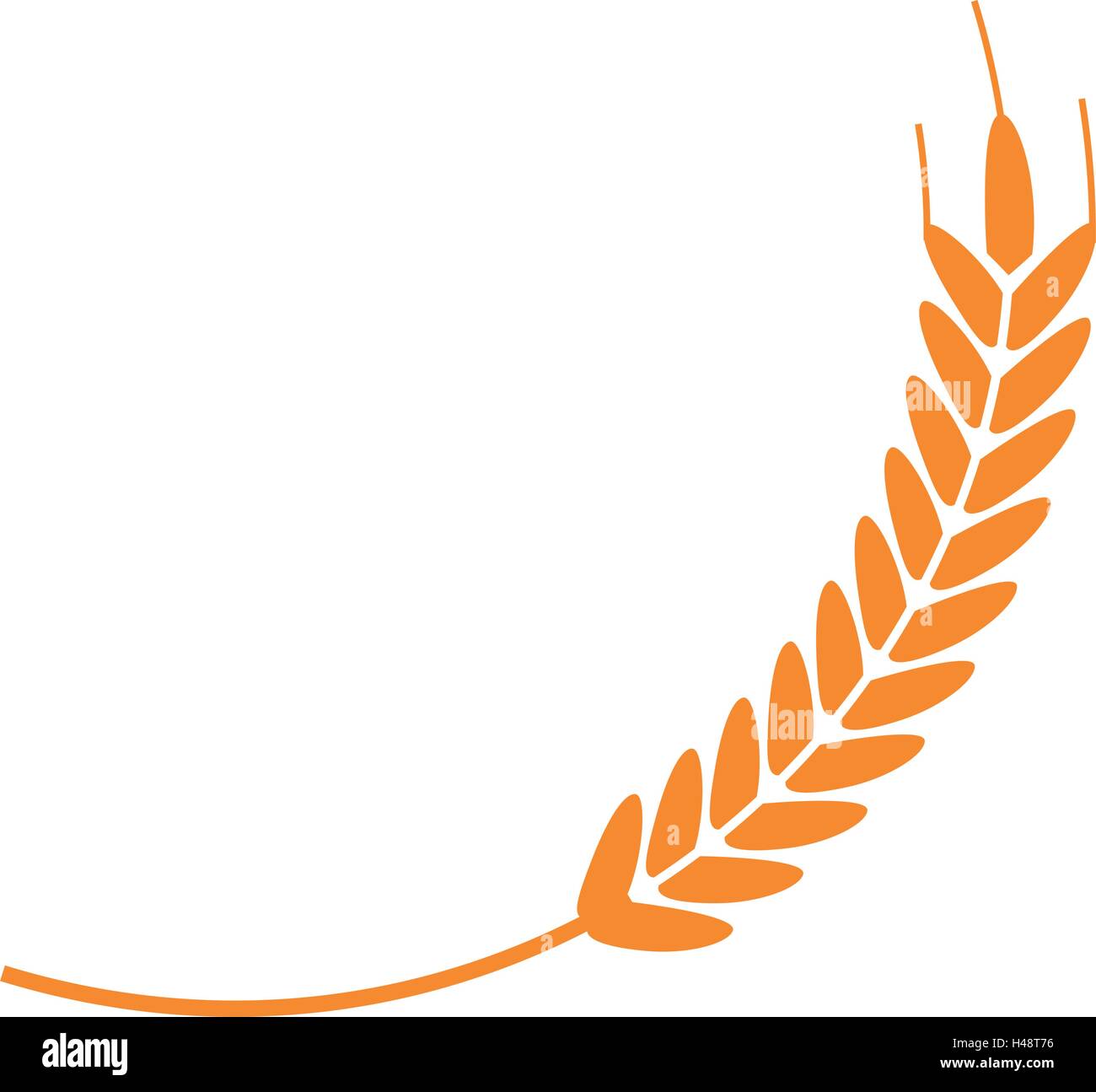 Isolated wheat ear design Stock Vector Image & Art - Alamy