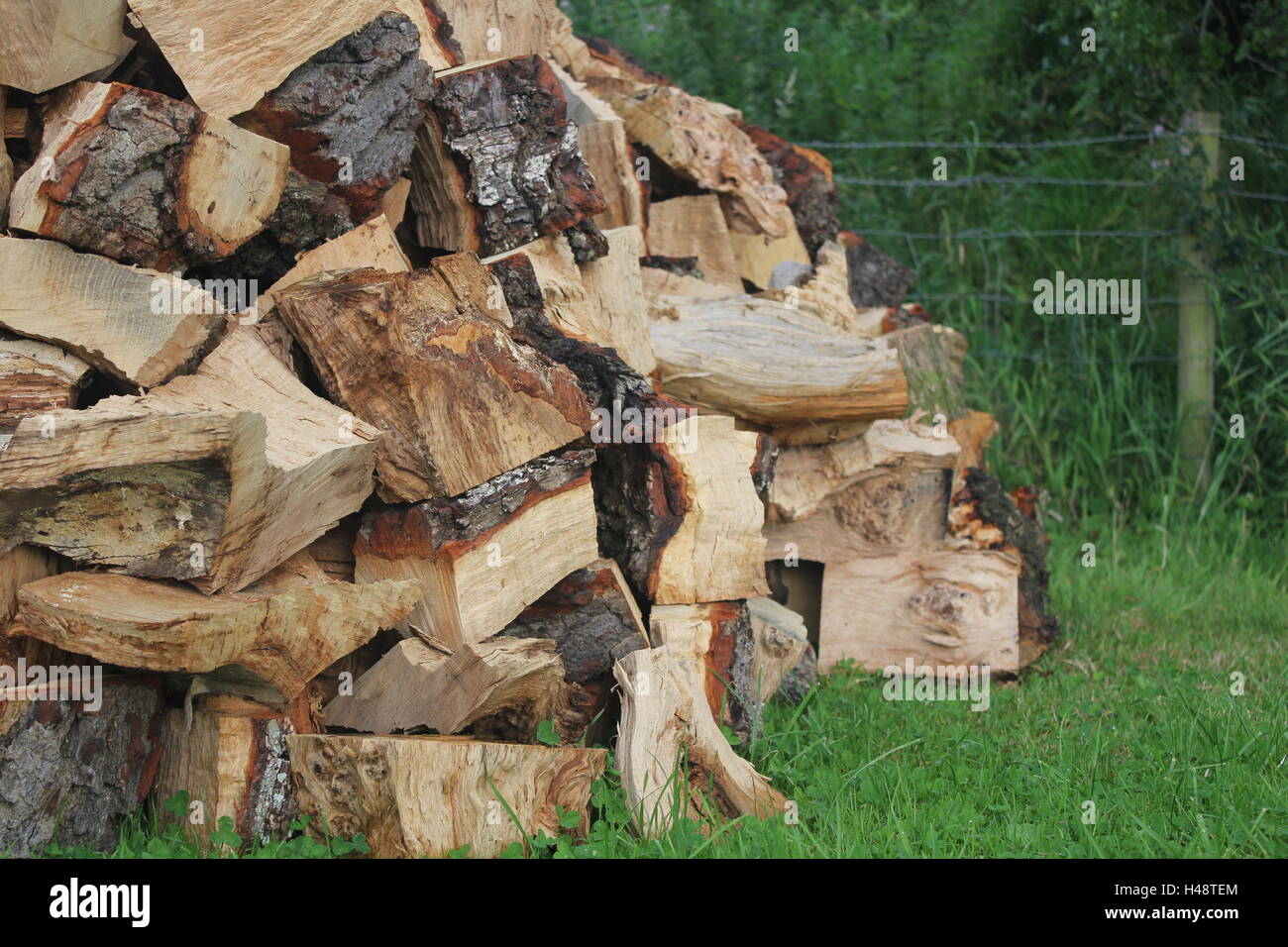 Pile of chopped logs hi-res stock photography and images - Alamy