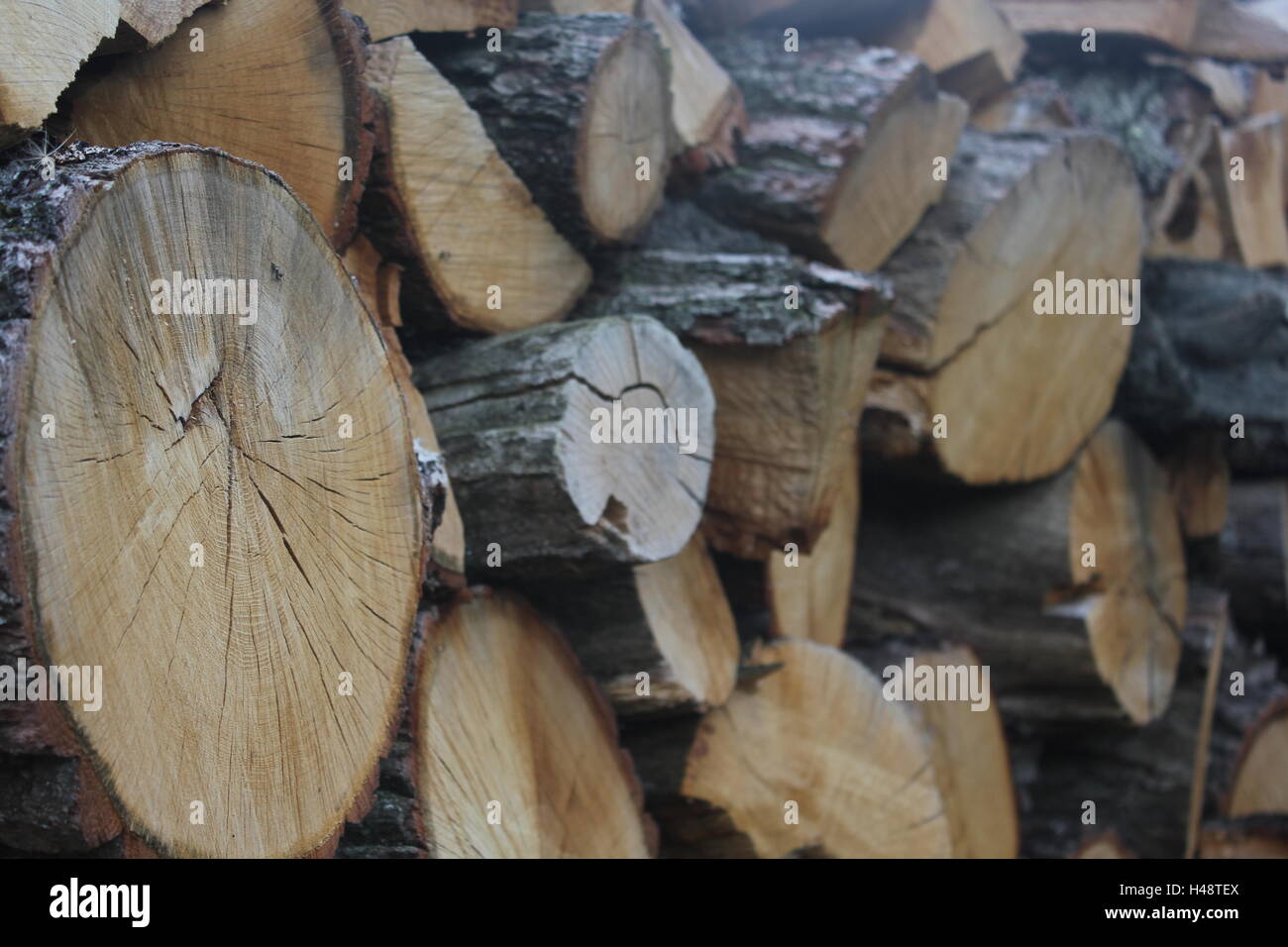 Log pile hi-res stock photography and images - Alamy