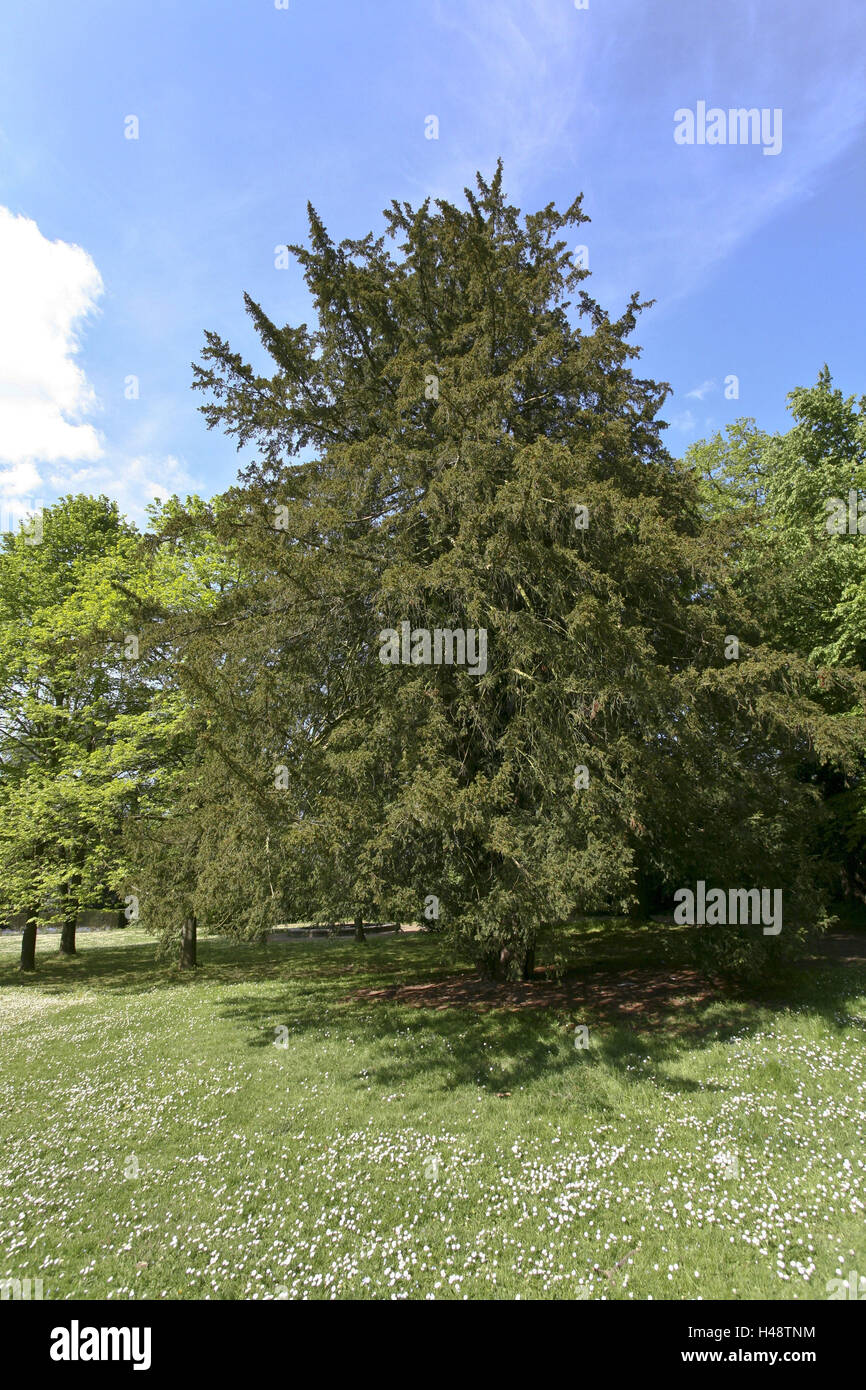 Dusseldorf garath hi-res stock photography and images - Alamy