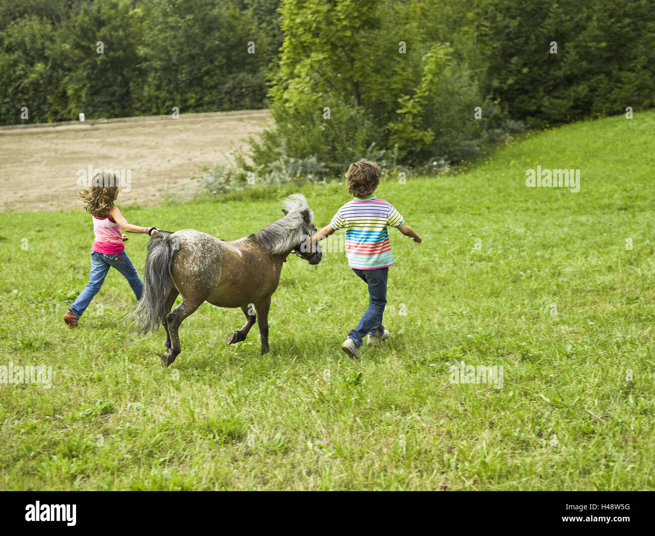 Children, two, pony, meadow, run Stock Photo - Alamy