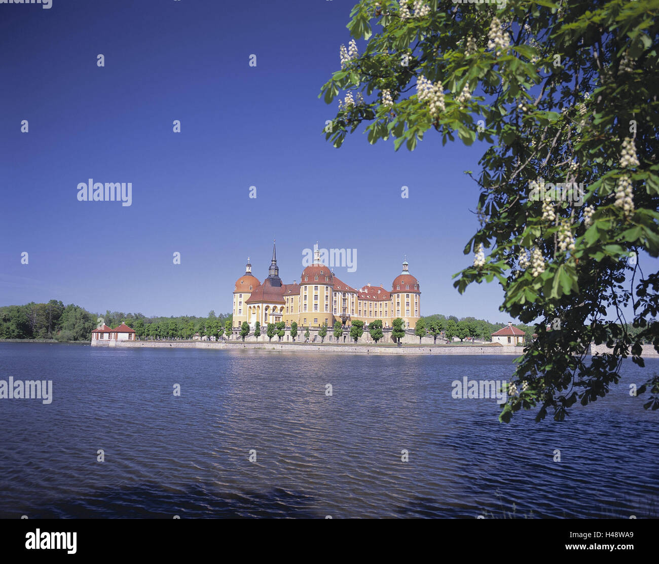 Germany, Saxony, castle Moritz, castle castle Moritz, lake ...