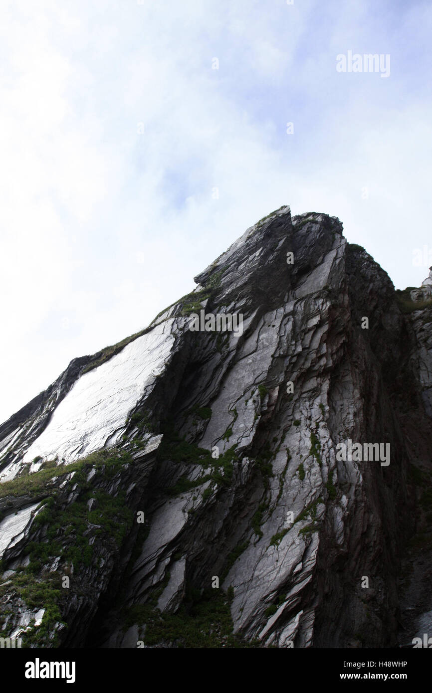 Cliff face, slate rocks, from below, rock, slate, overgrown, plants ...