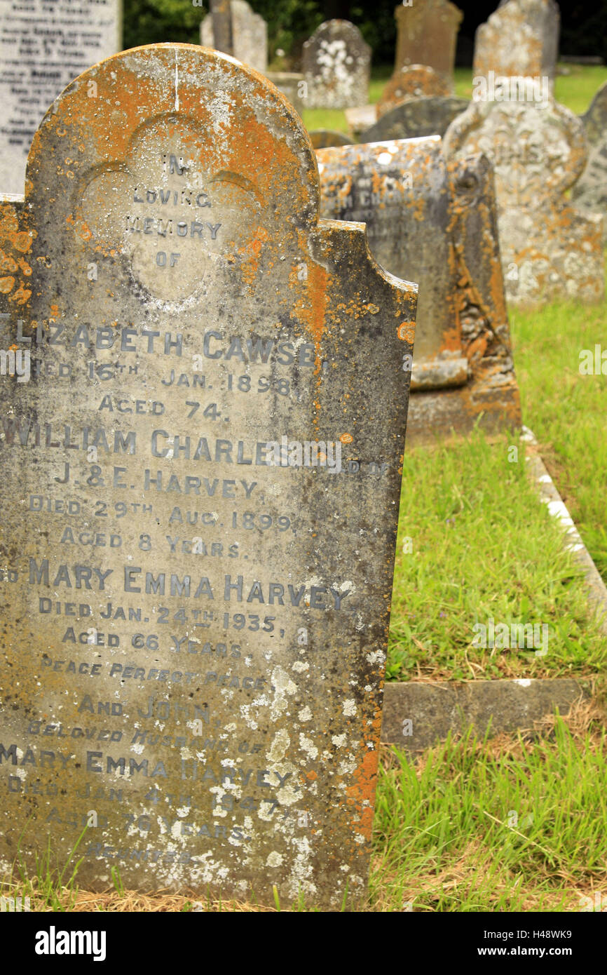UK, Devon, Ashprington, cemetery, gravestones, summer, England, meadow ...