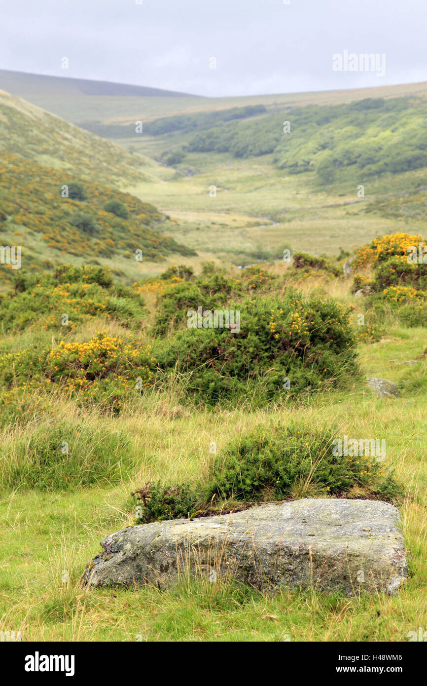 Great Britain, Devon, Dartmoor, hill scenery, summer, England, scenery ...
